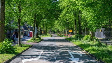 Felle weerstand tegen verbouwing van de Kleine Houtweg. ’Allergroenste ...