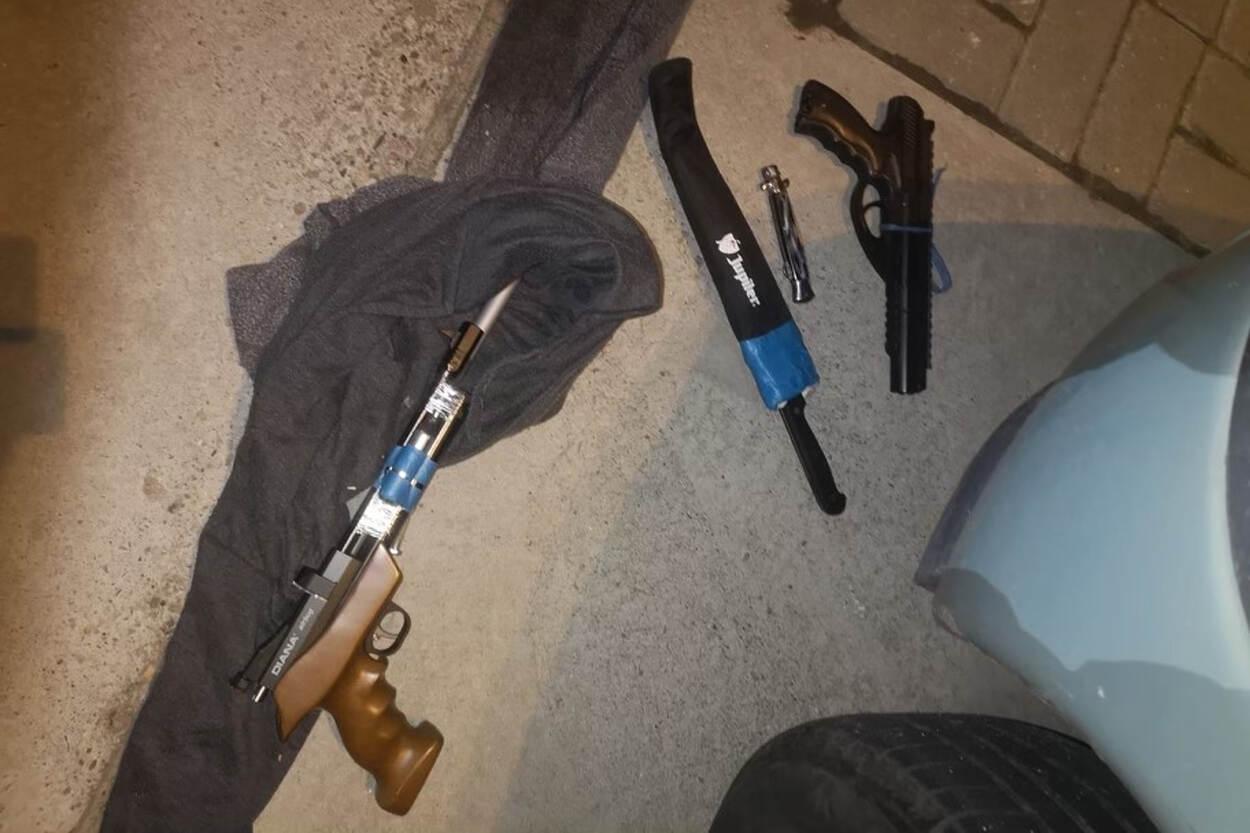 Man met wapens aangehouden bij Schiphol, hond opgevangen door ...
