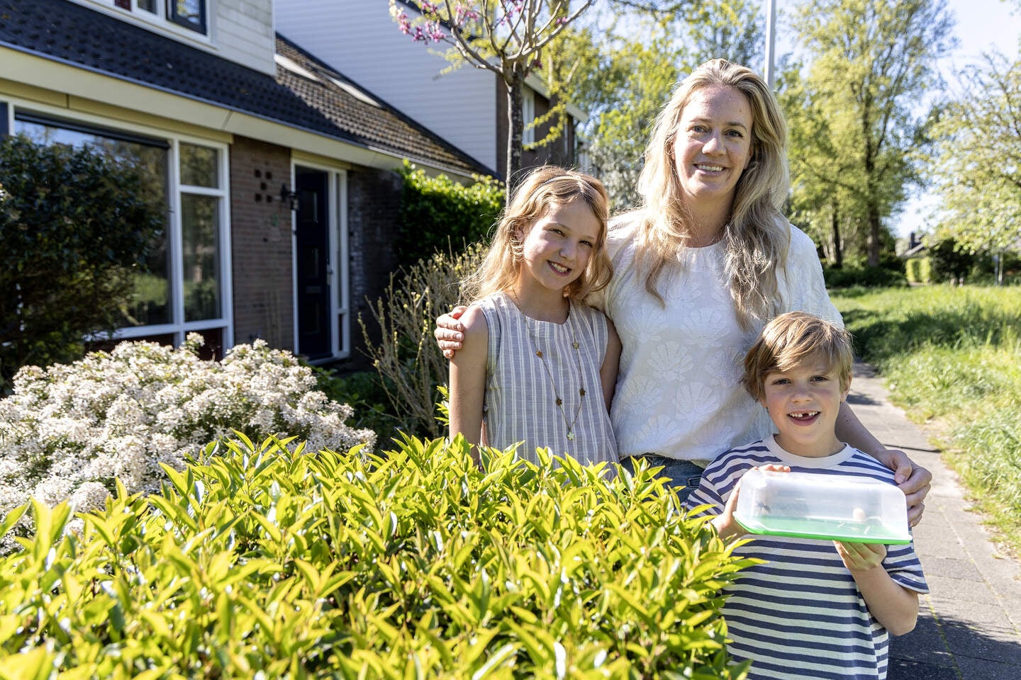 In Heemstede al zestien koninginnen van geelpoothoornaar gevangen. ’Ik ...